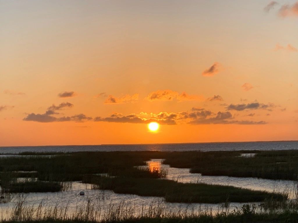 Friends of England Point