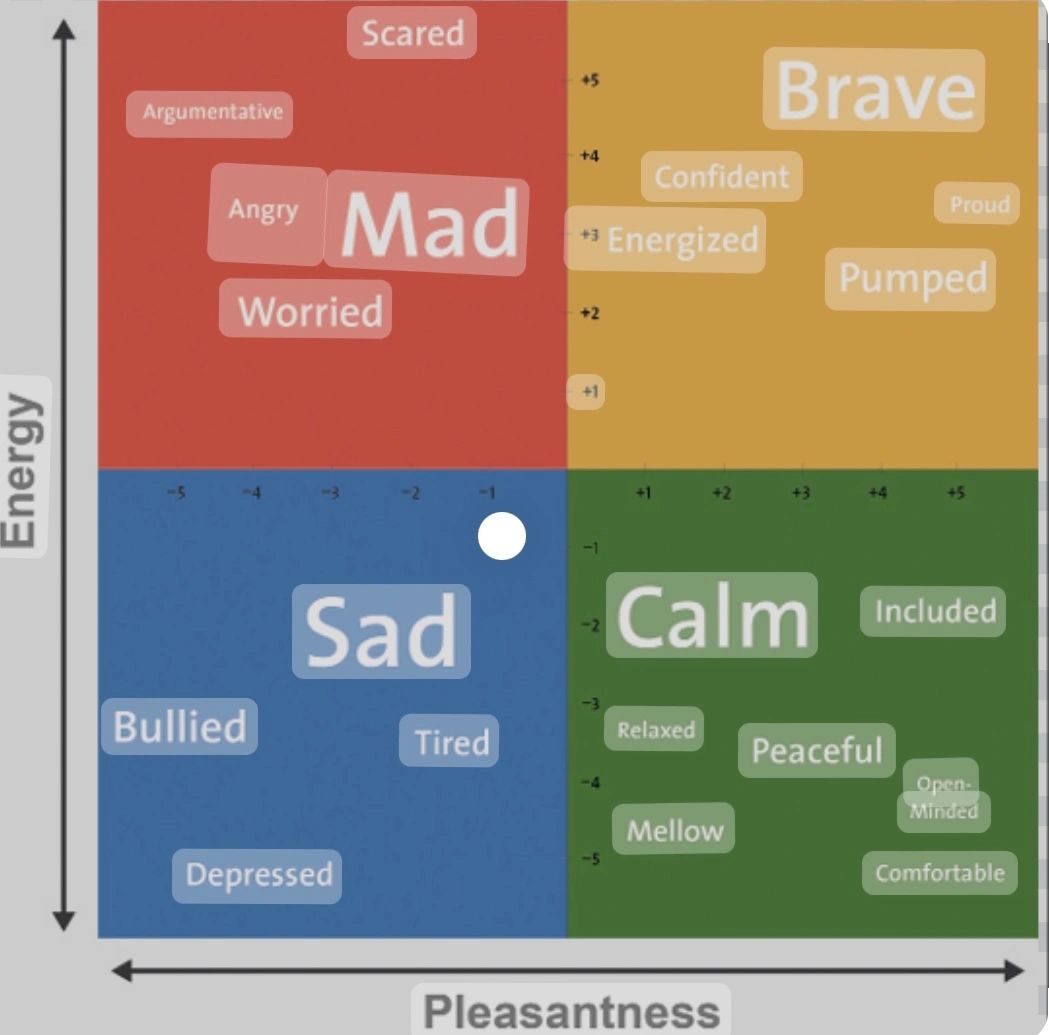 Social Emotional Learning For Grown ups social-emotional-learning-for-grown-ups