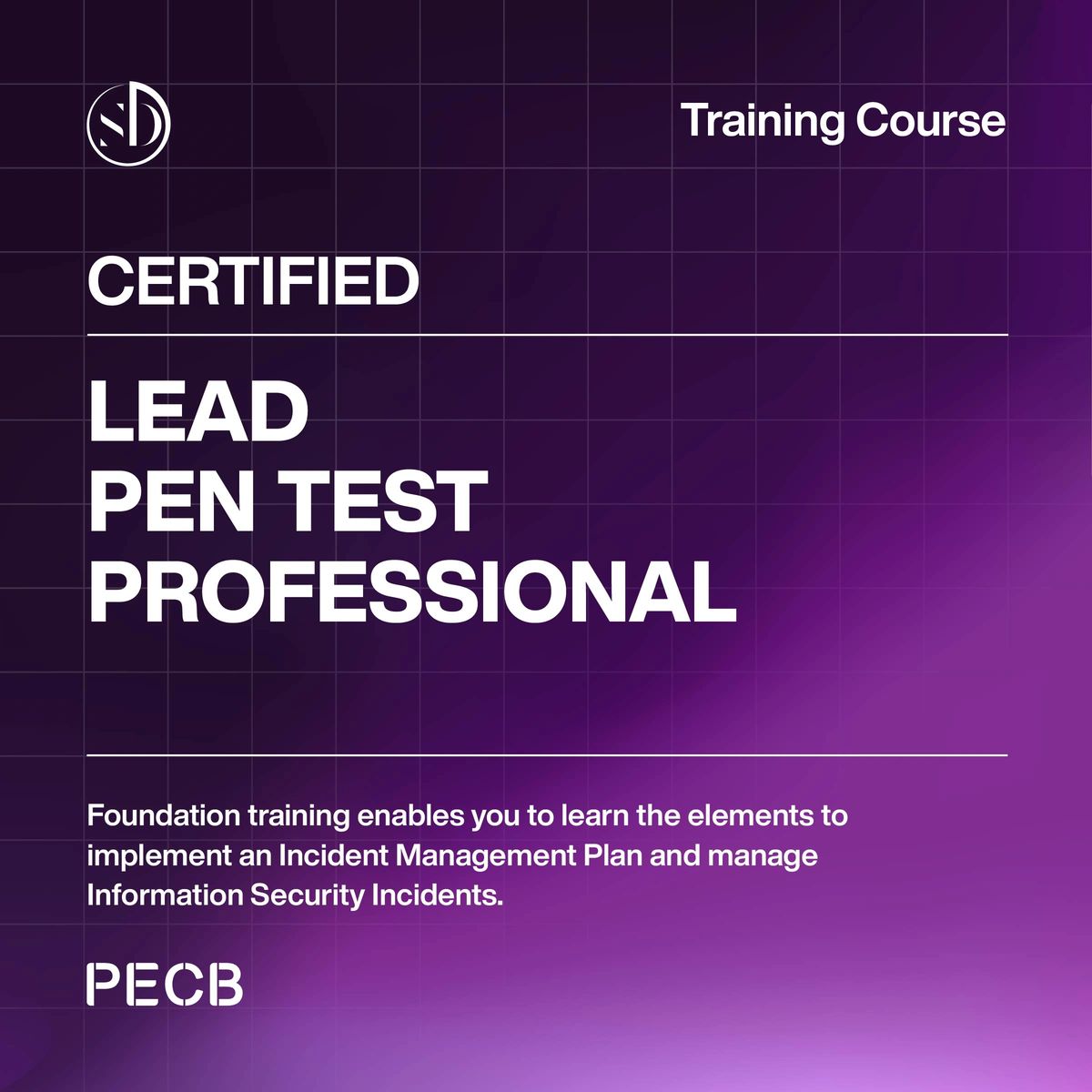 Certified Lead Pen Test Professional