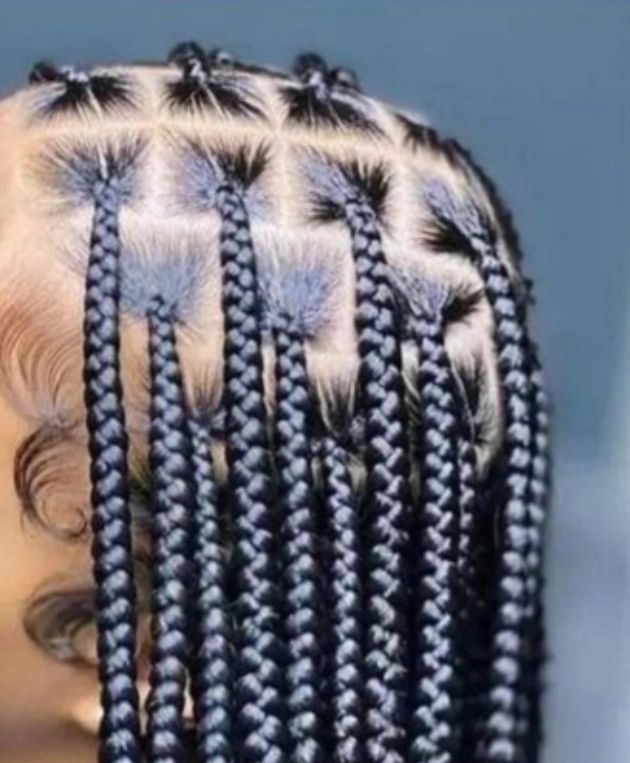 Medium Knot-less/ Box braids Butt length