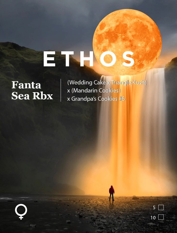 Fanta Sea Rbx Fem- Ethos