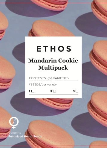 Mandarin Cookies Multipack Fem Novelty Seeds - Ethos