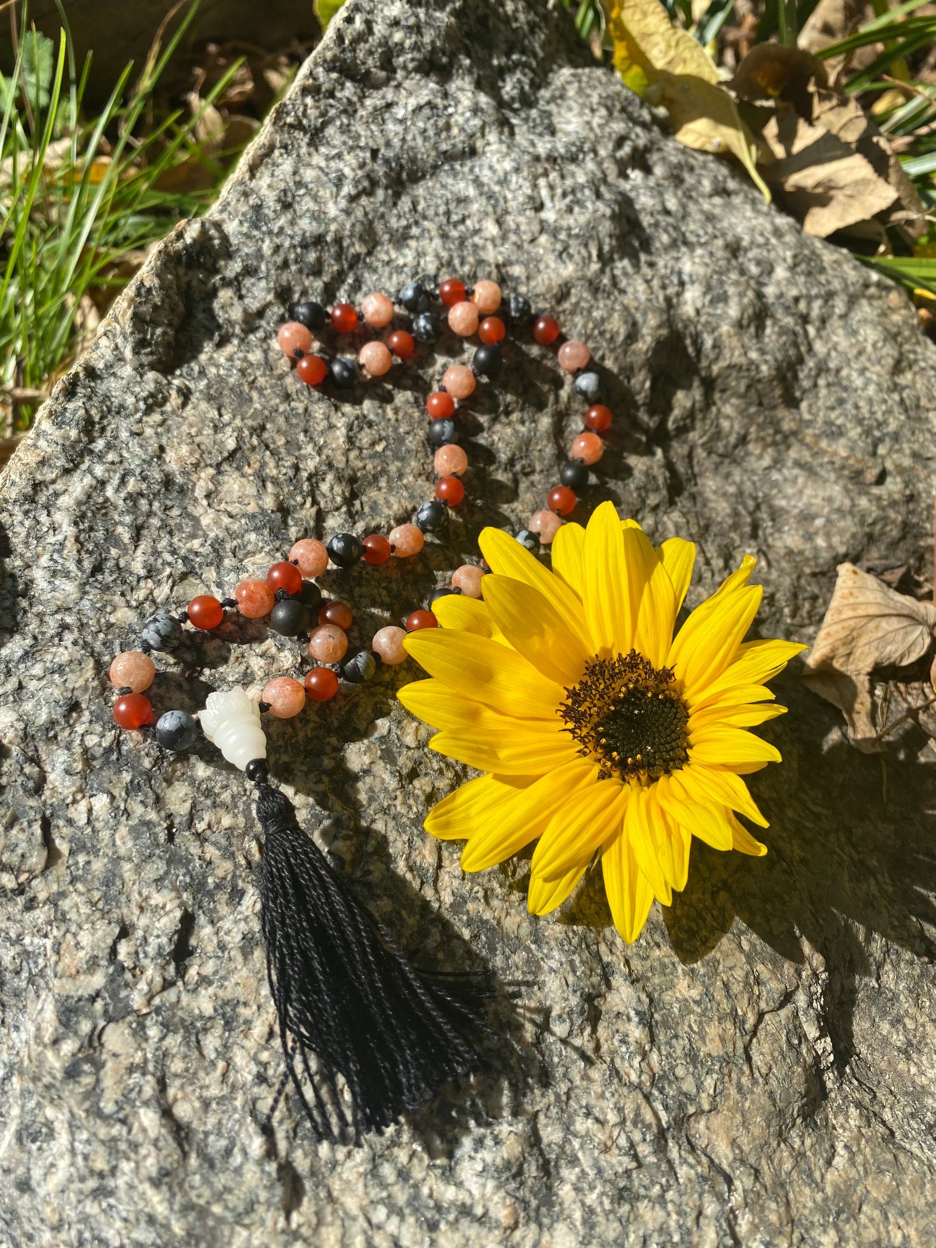 About Us | Meet the DarkStar's Vision Team