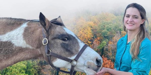 Meet our Veterinarians