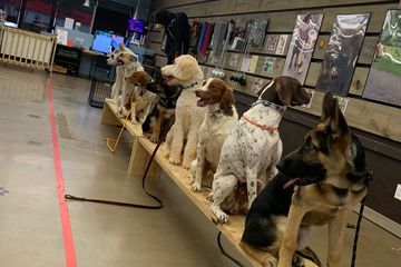 OTCK9 ACADEMY | OTCK9 ACADEMY LLC