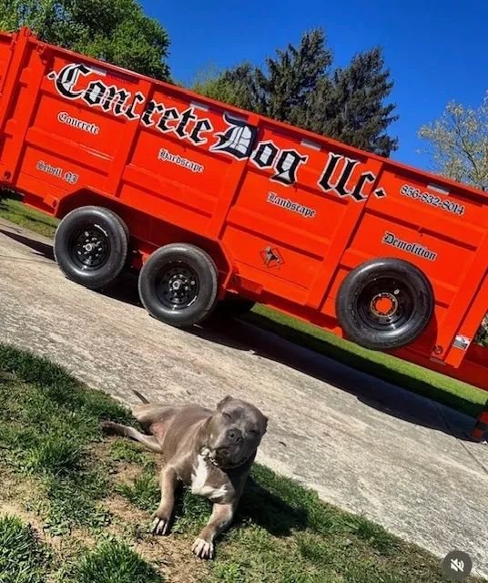 Concrete Dog LLC