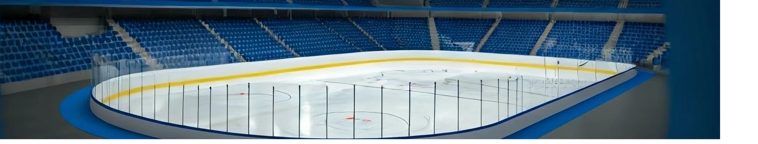 Expert Ice Rink Solutions for Your Rink Business