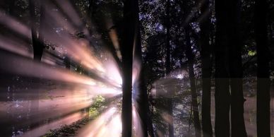 Our insights | Asia Care Group