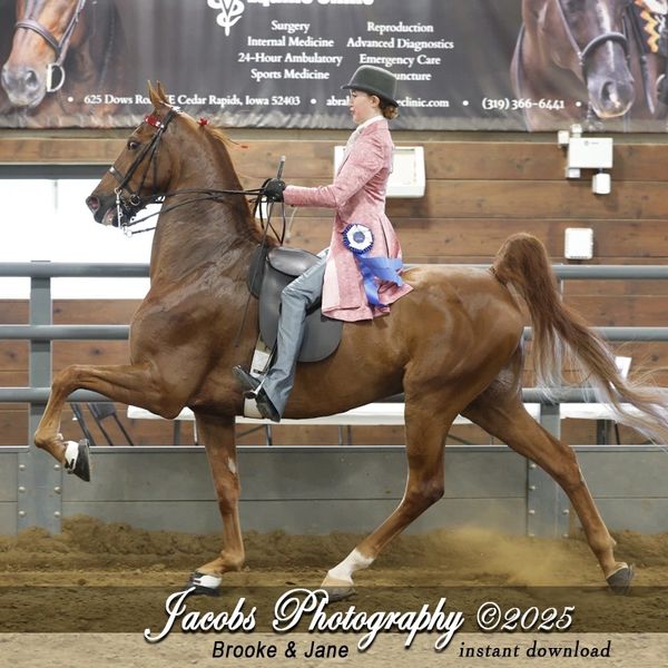 Riding Lesson Program