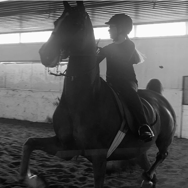 Riding Lesson Program