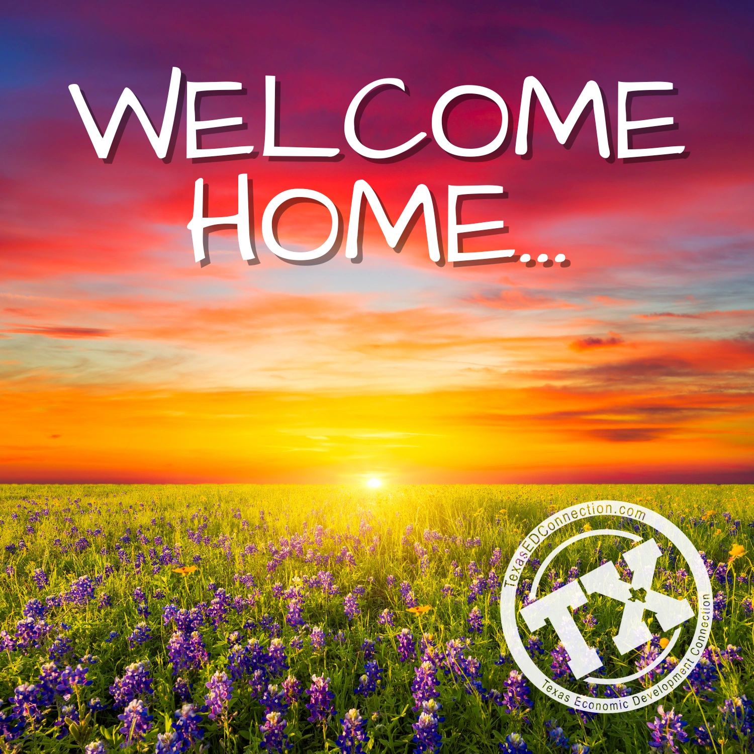 Welcome [texasedc.com]