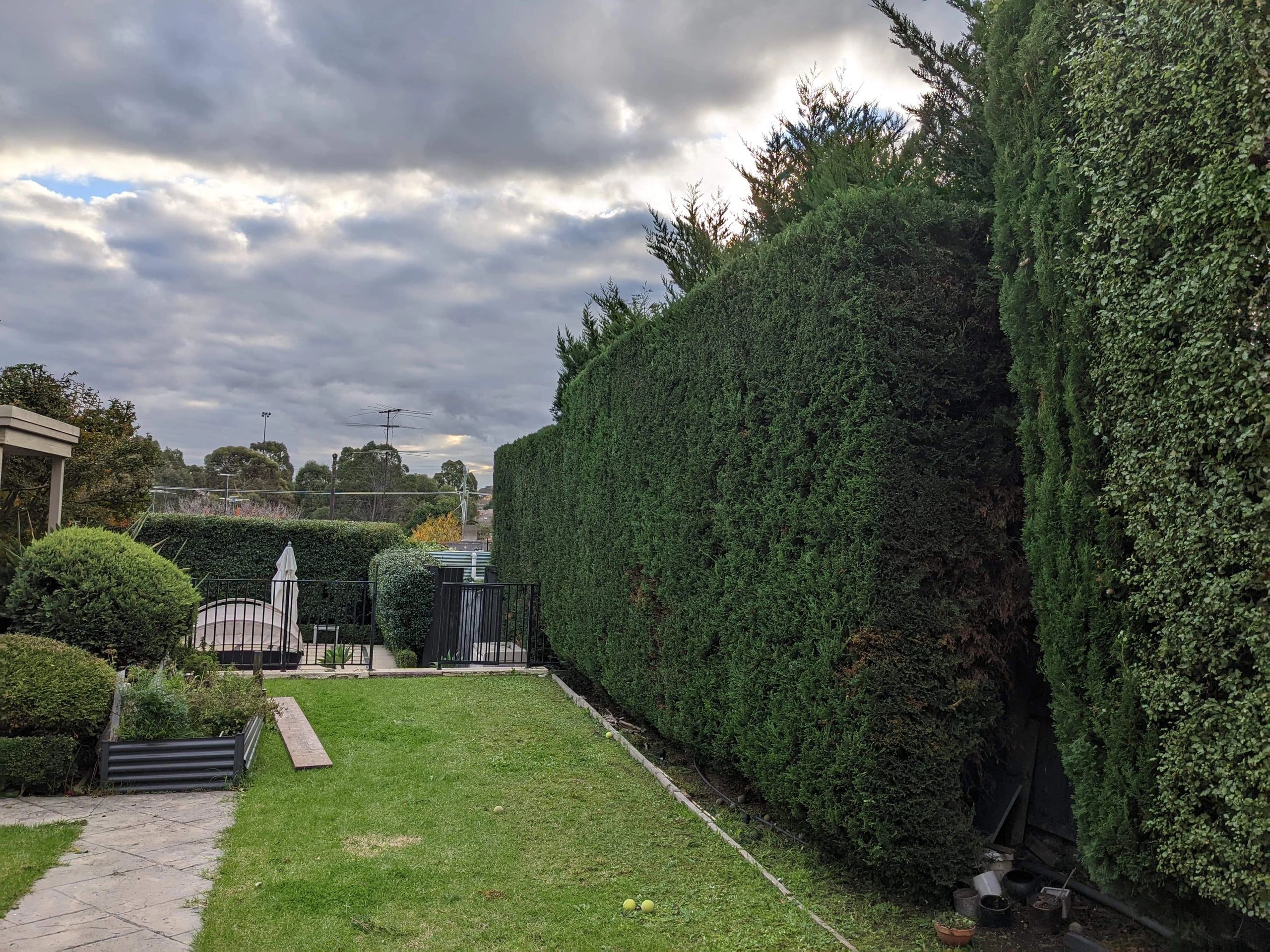 Russell’s Hedge Trimming & Tree Care