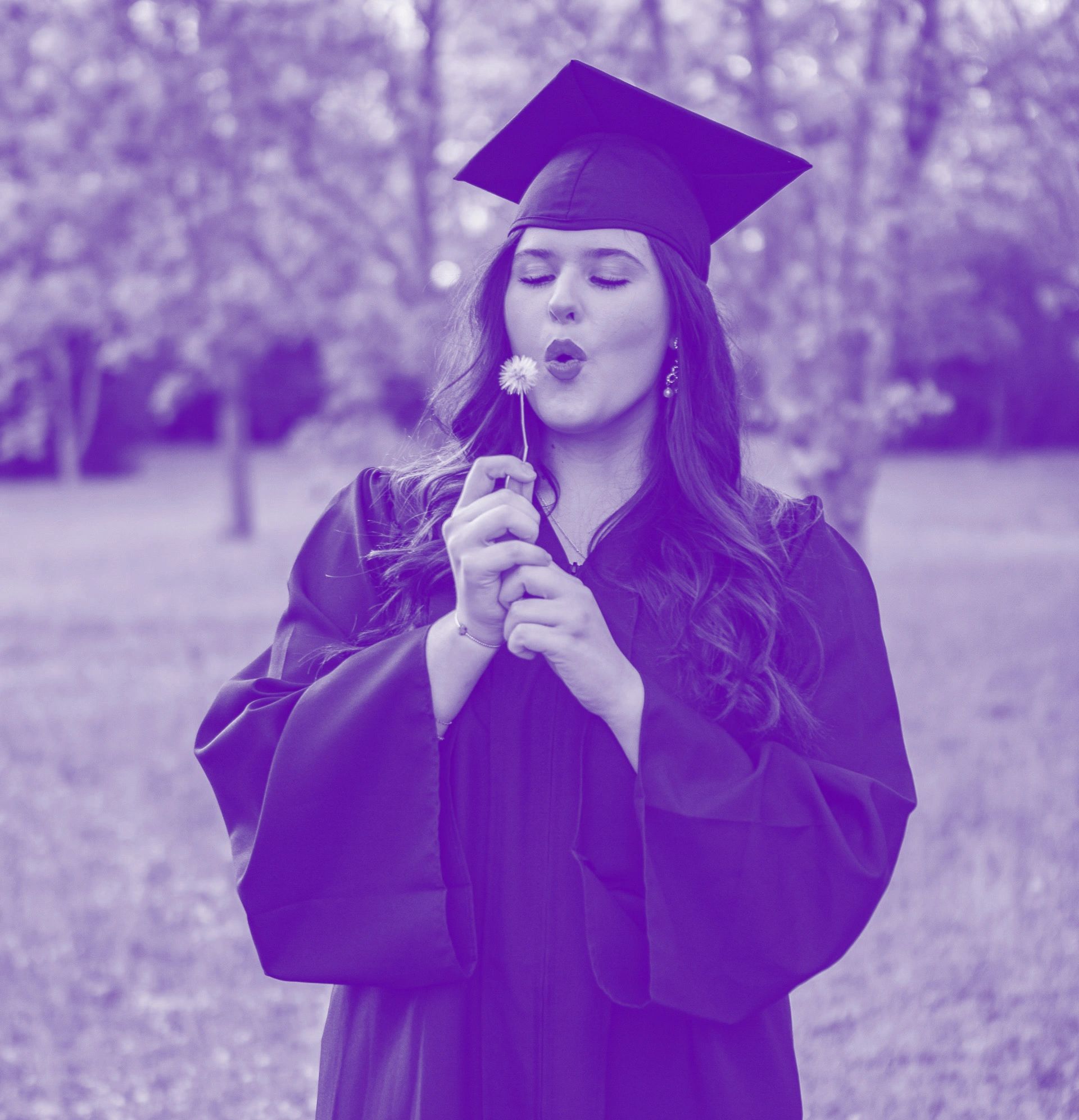 Amelia Anne: Explore My Music and Journey