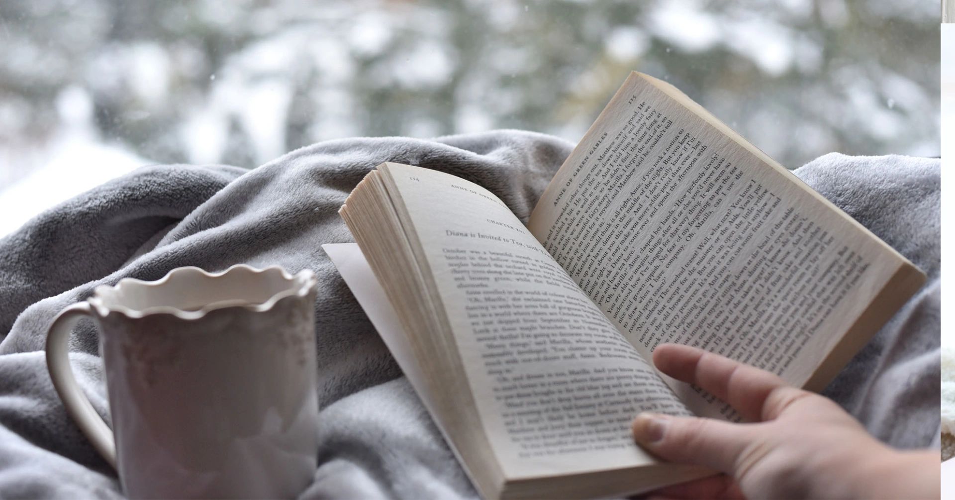 Charleston Carnegie Public Library in Charleston, Illinois