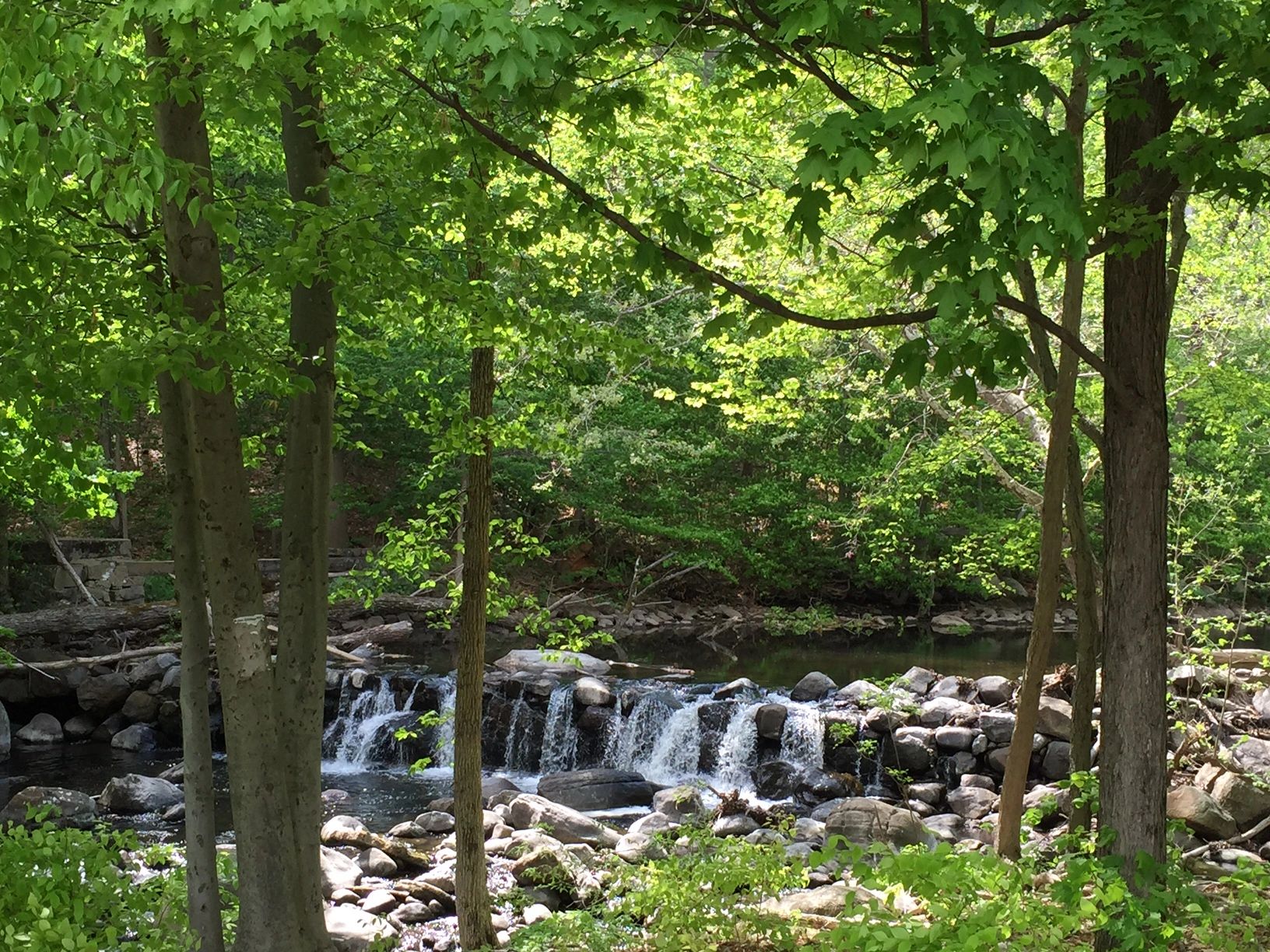 Waterfall Village Residents