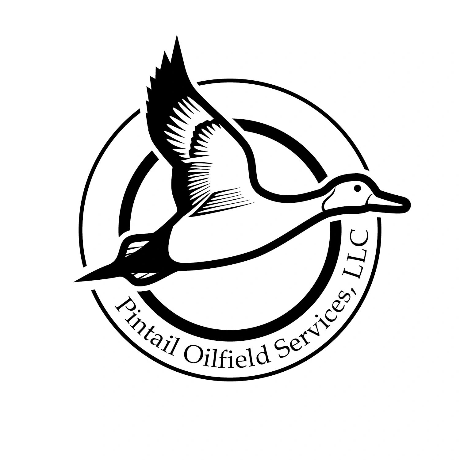 Pintail Oilfield Services, LLC - Home