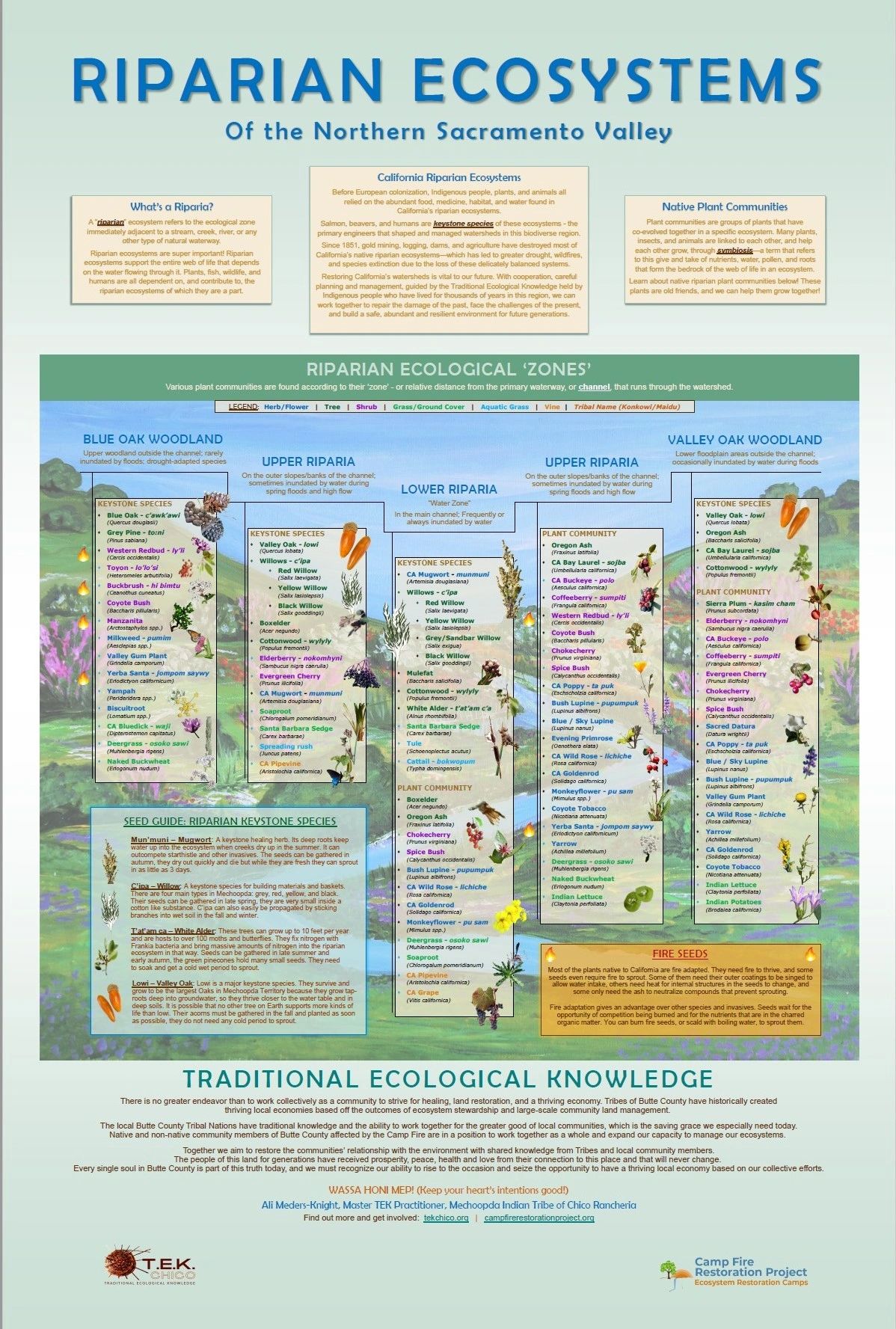Educational Poster: Riparian Ecosystems of the Sacramento Valley