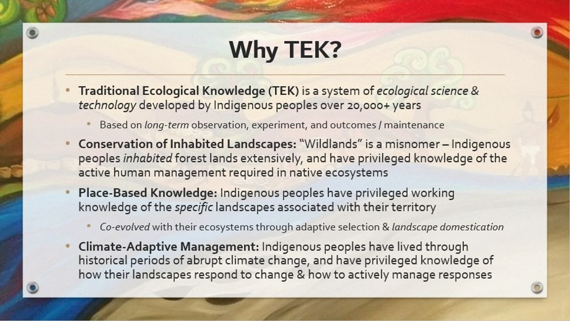 Chico Traditional Ecological Stewardship Program