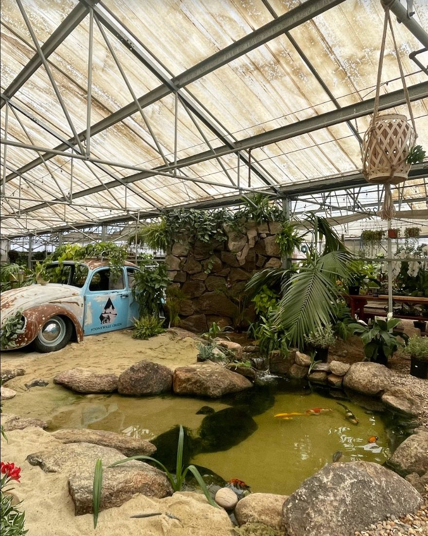 Botany. Las Vegas- what to expect