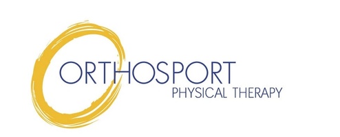 OrthoSport Physical Therapy - Physical Therapist