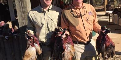 Welcome to Beaver Pond Sporting Club Quail Hunting NC