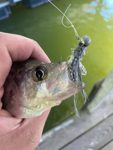 Crappie Jigs