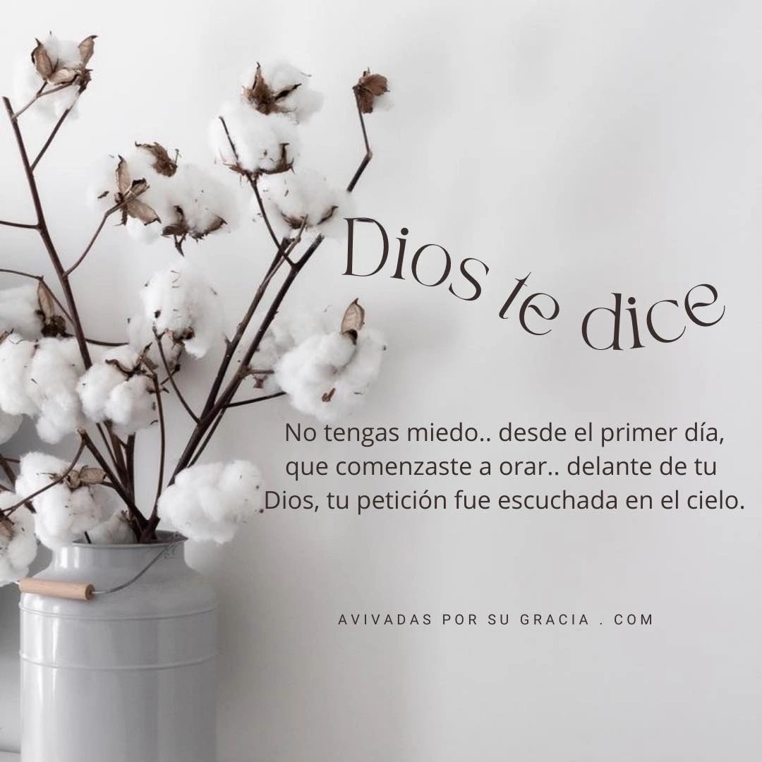 Tu petición fue escuchada en el cielo (Daniel 10:12)