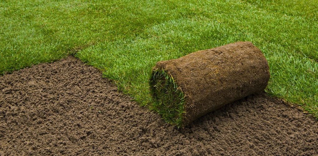 Robinson Sod - Sod Supplier, Sod, Turf