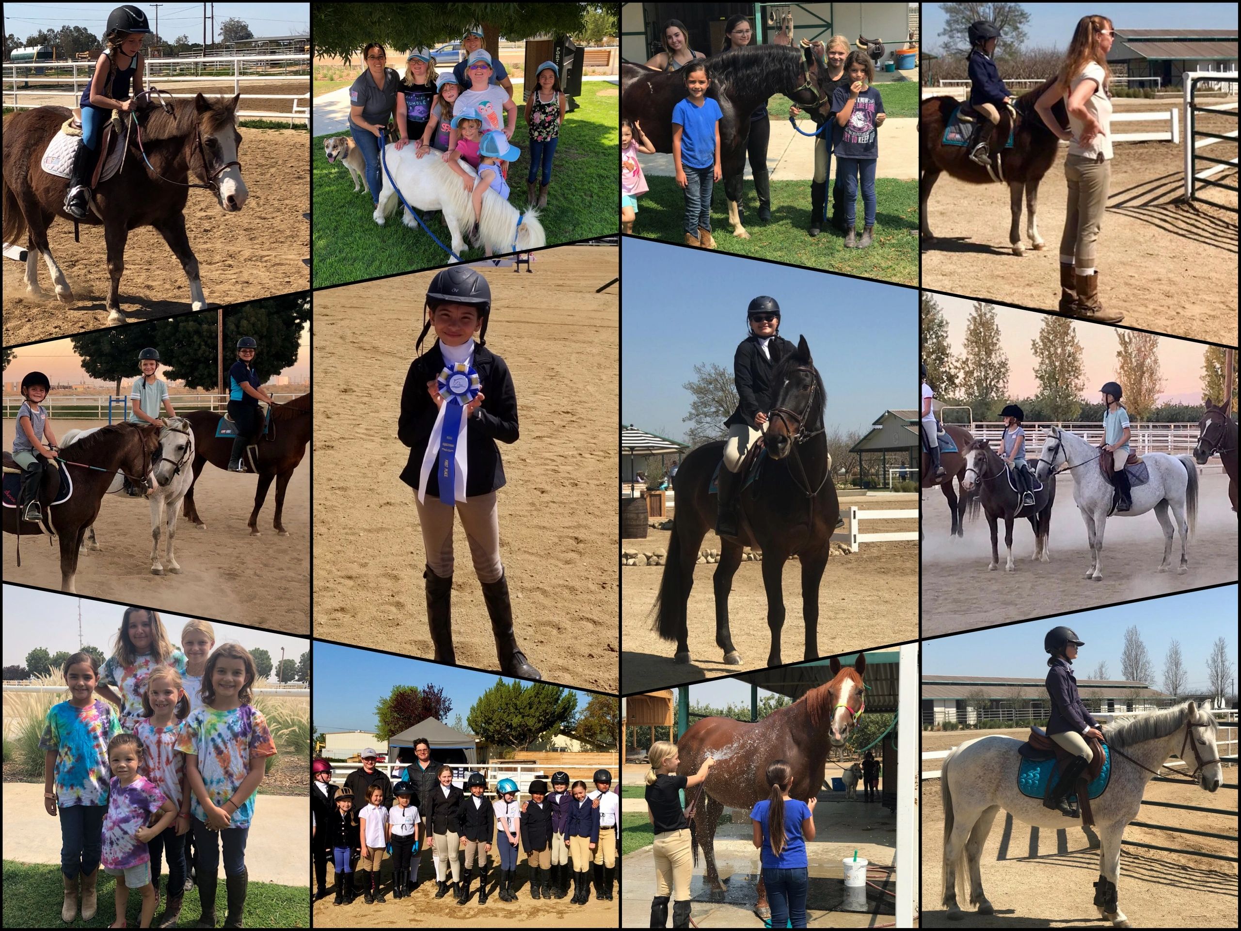 Horse Riding School - Kern Equestrian Academy