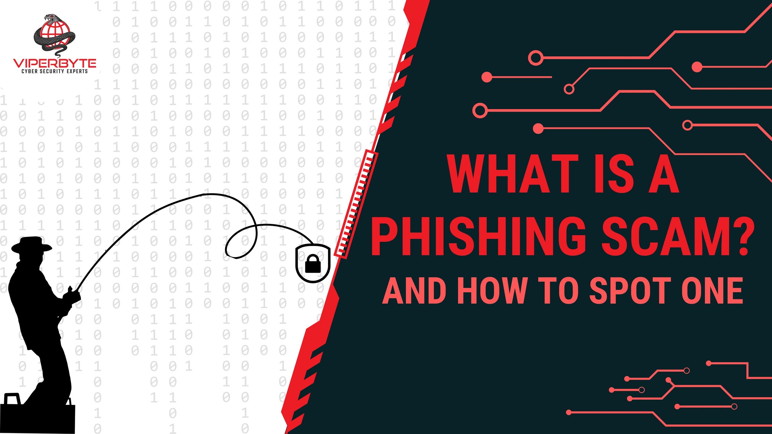 What is a Phishing Scam? (And How to Spot One)