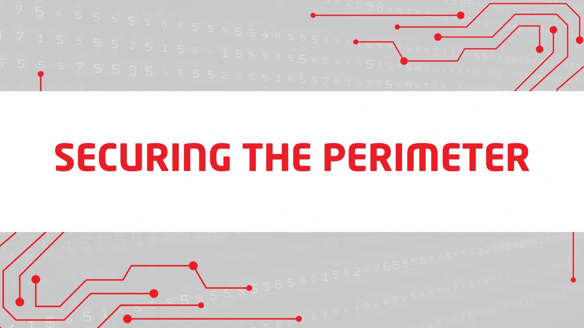 Securing The Perimeter: Protecting Your Network