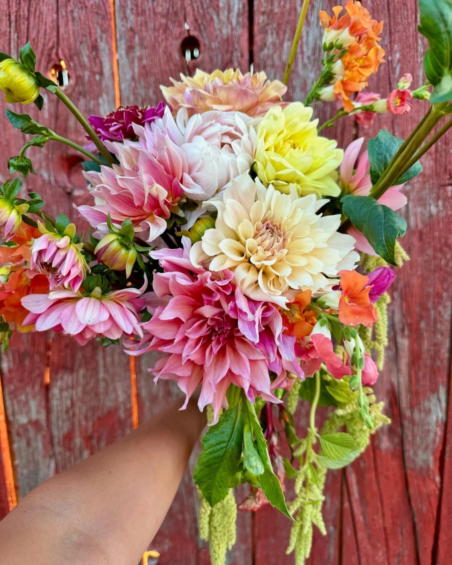 About | Mueller Farmstead