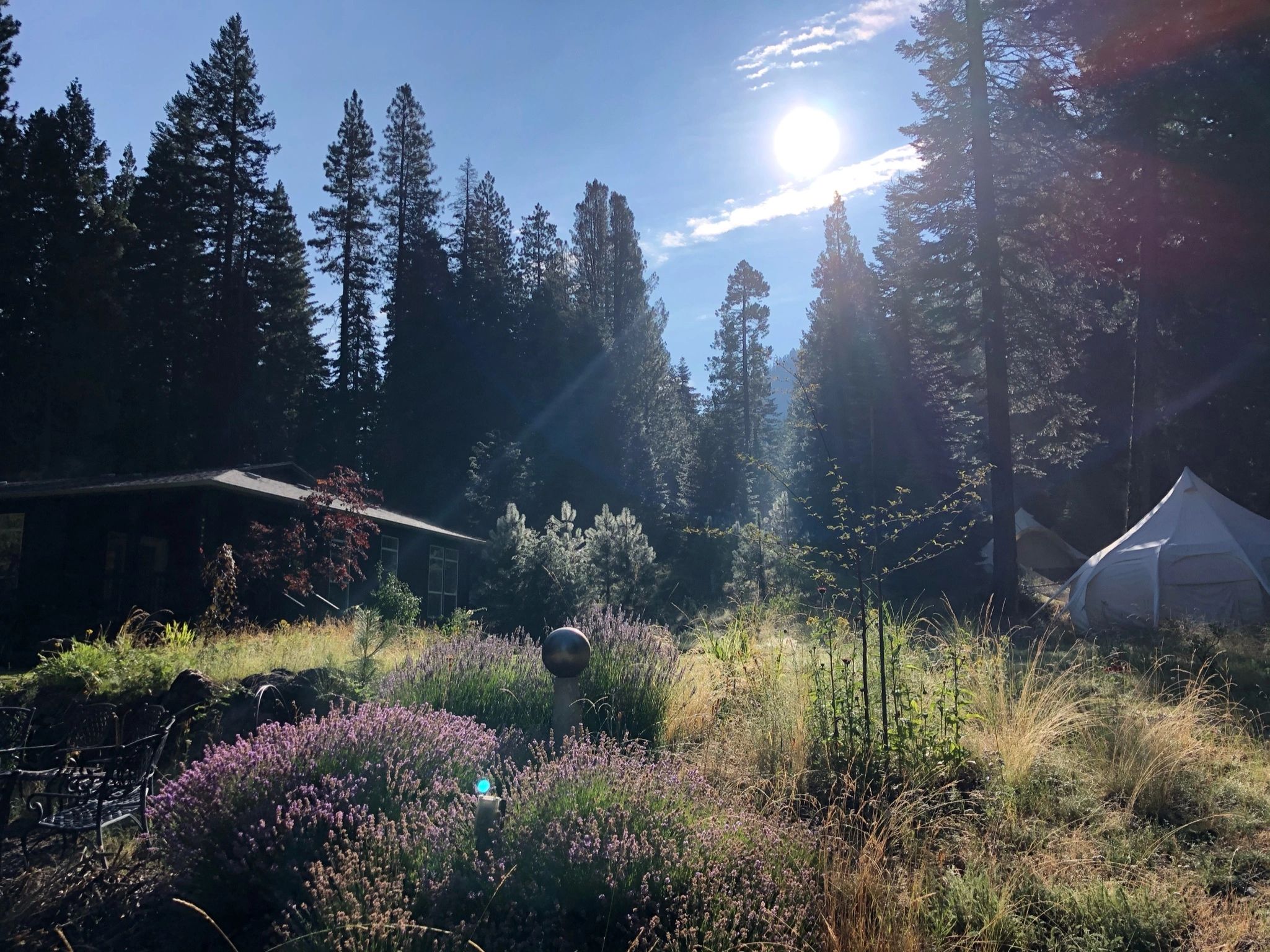 HOME [gurushasta.com]