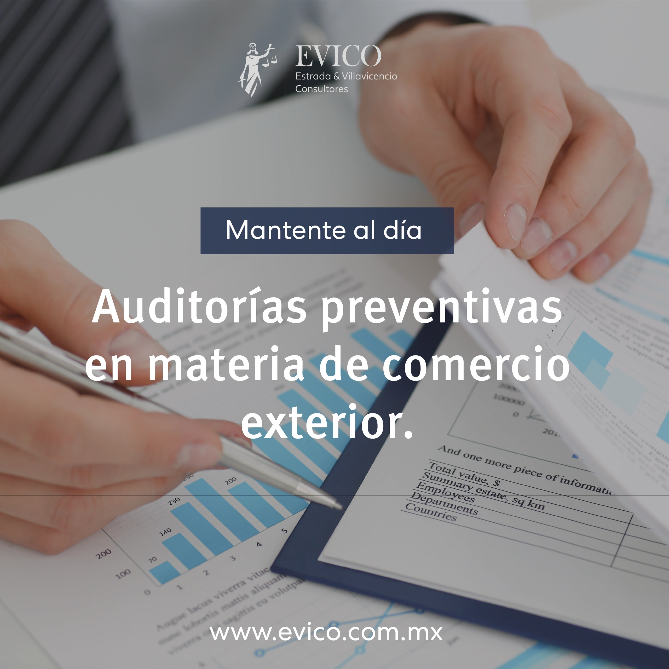 Auditorías preventivas en materia de comercio exterior.
