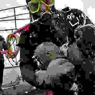 Hookah Diving Systems | Hooka Max Diving