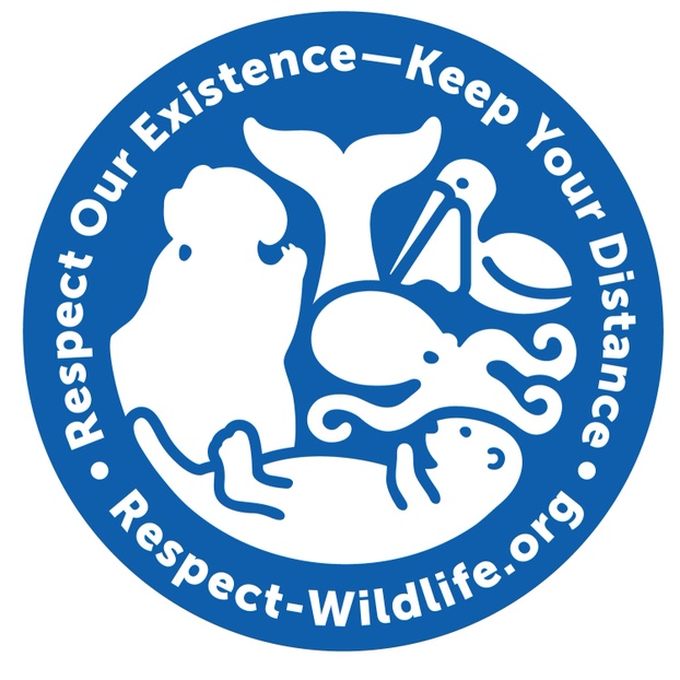 Respect Wildlife