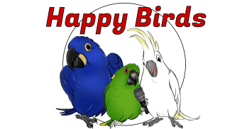 Happy Birds
