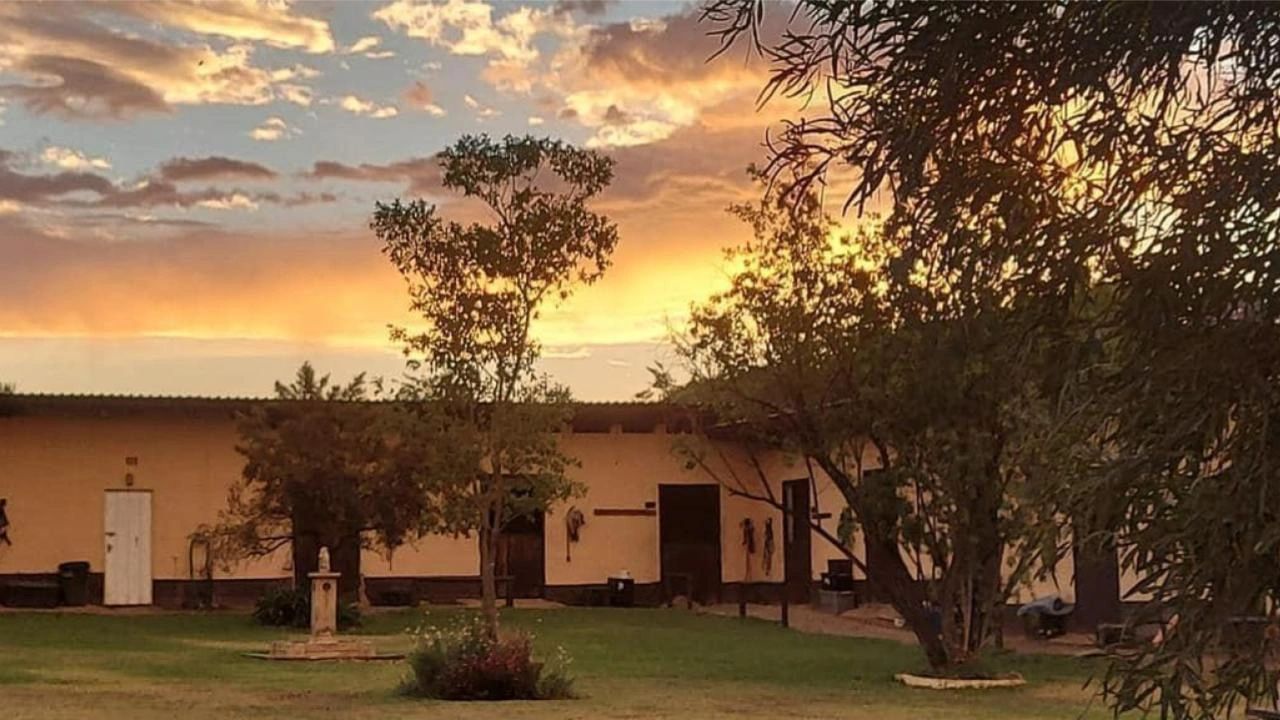 Aragon Stables