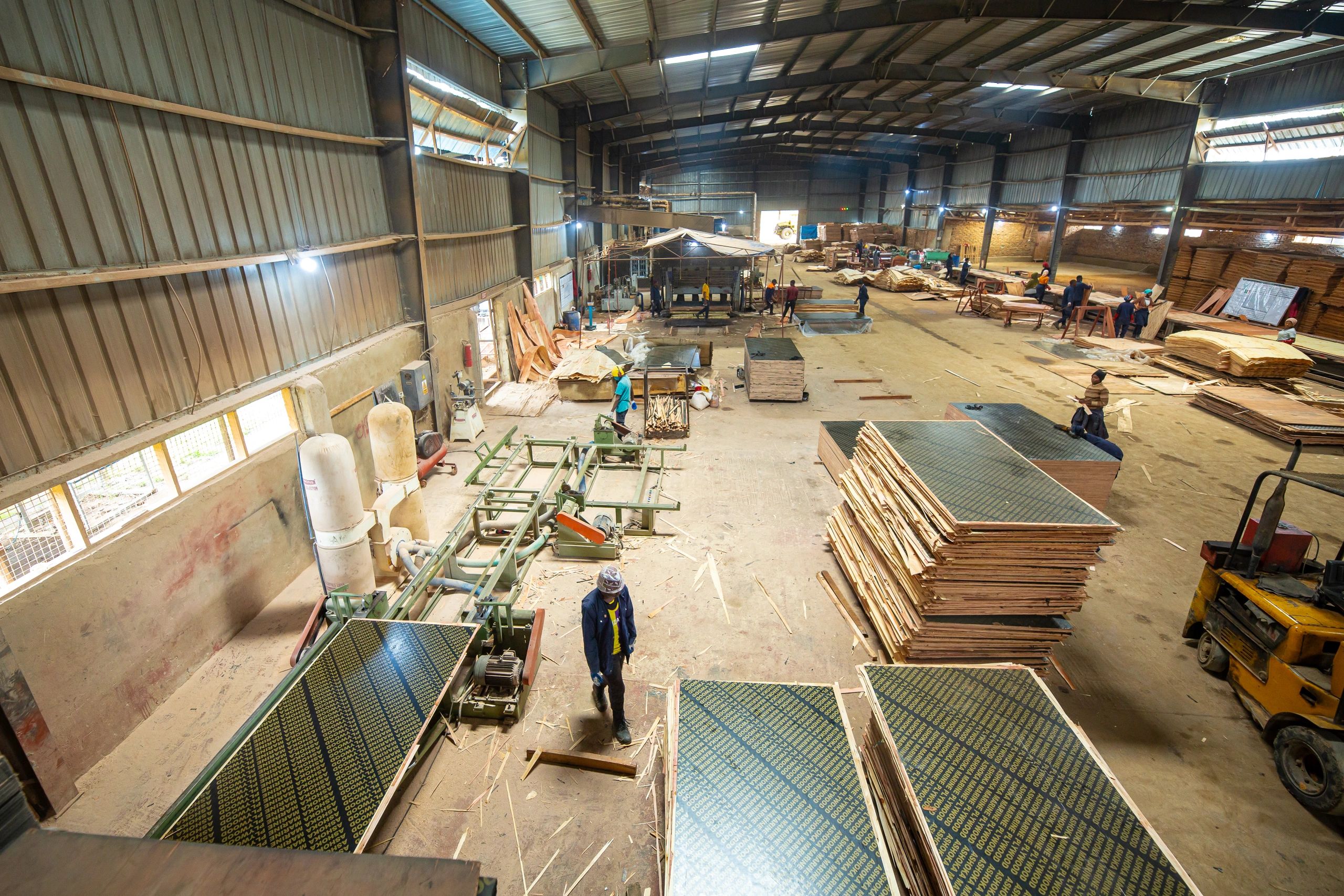 Sustainable Plywood from Tanganyika Plywood LTD