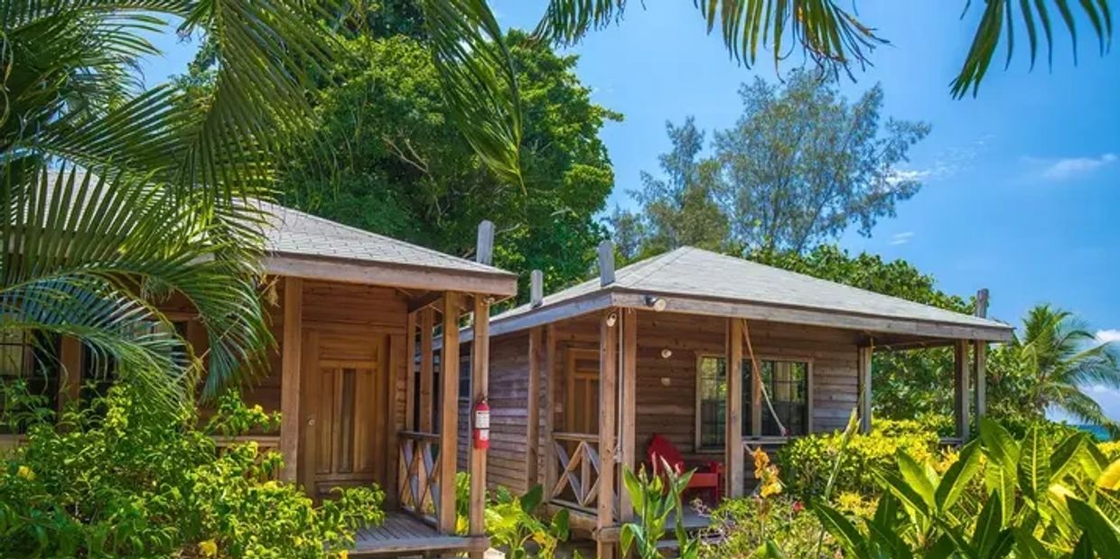 Roatan Tour with Sloths & Monkeys | Explore the Best Excursions