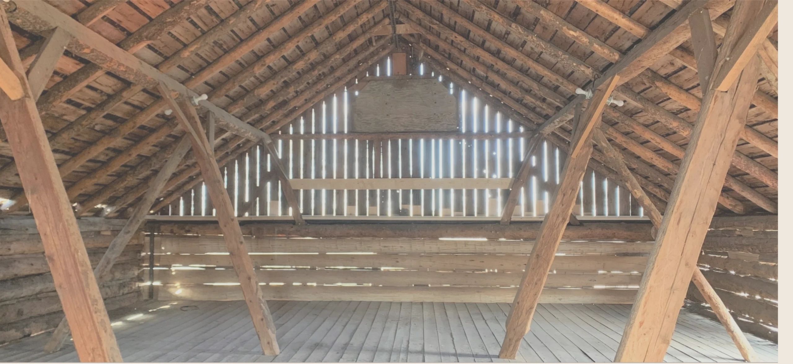 Heritage Conservation - NewLife Structure Conservation Inc.