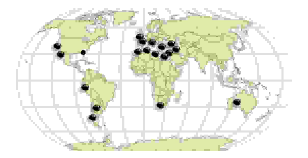 Olive Tree Varieties | Woodpecker Trail Olive Farm