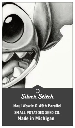 Silver Stitch (sold out)