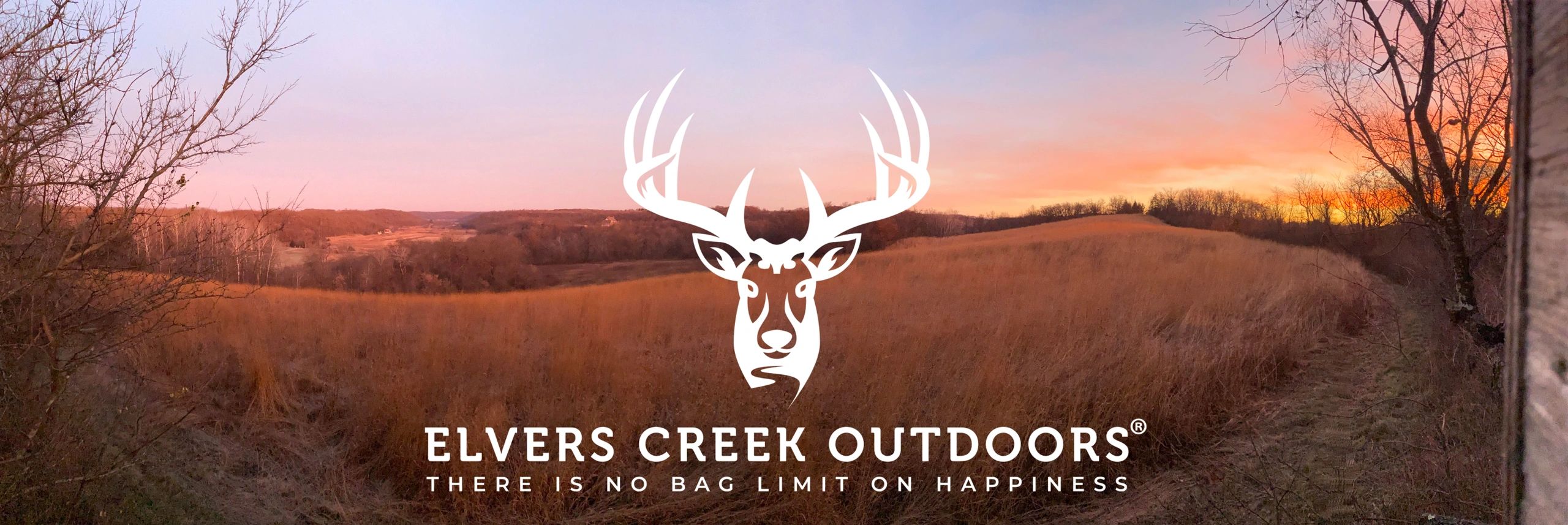 Find the Best Lighted Nocks for Your Hunting Needs