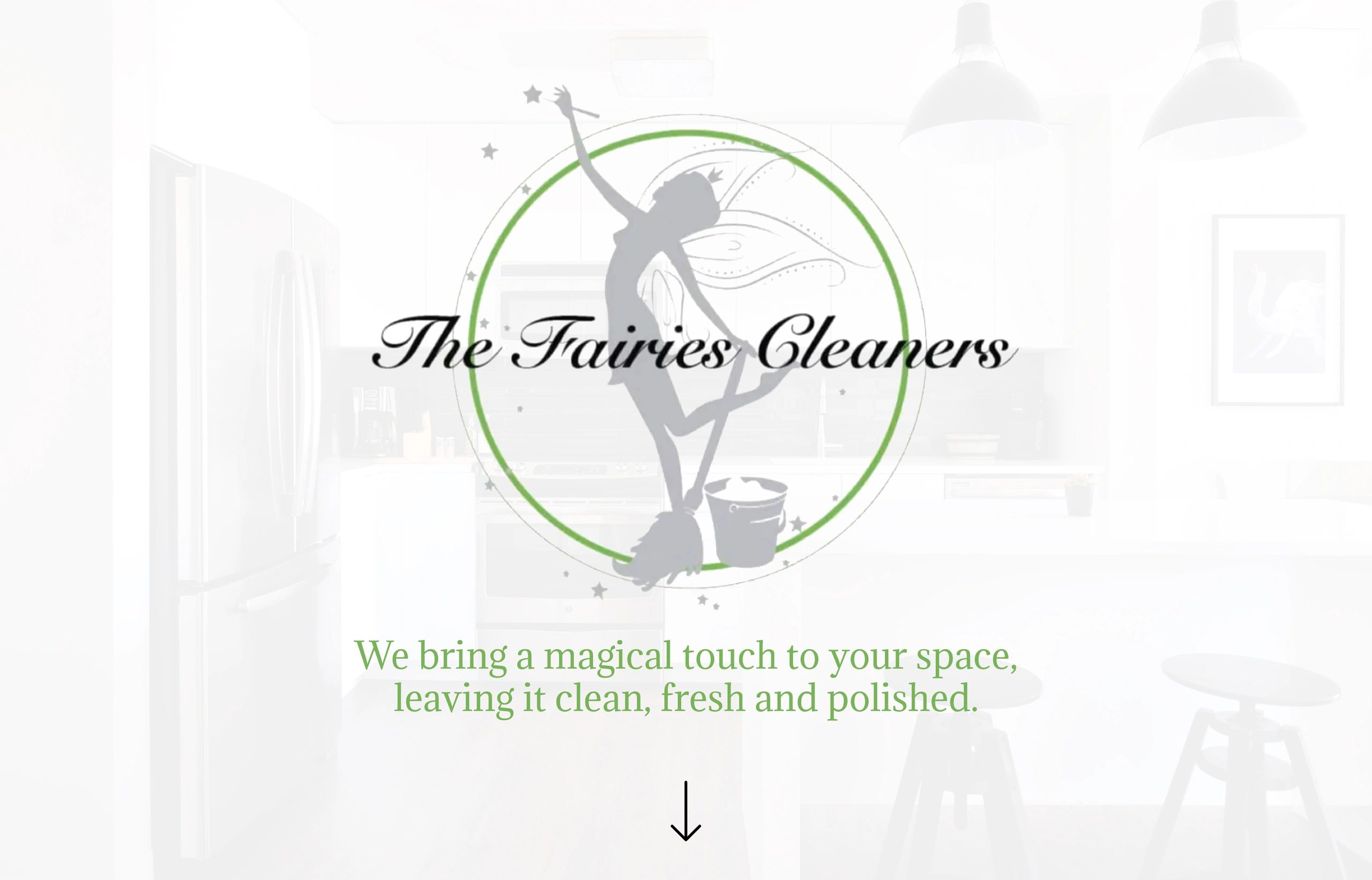 The Fairies Cleaners