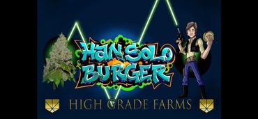 Craft Cannabis - HIGH GRADE FARMS