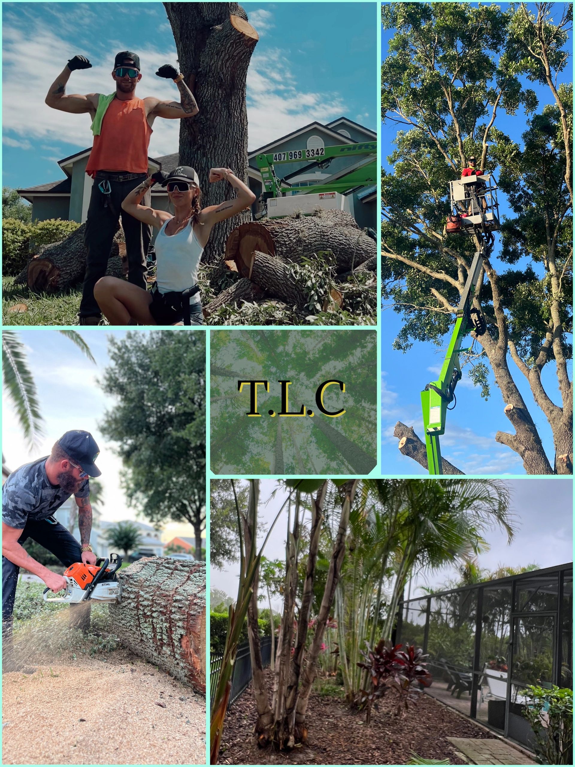 Turner Landscaping Company and Tree Services