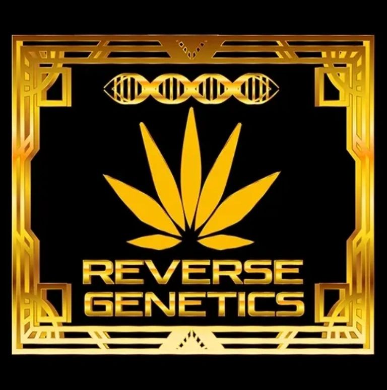 REVERSE GENETICS CANNABIS SEEDS