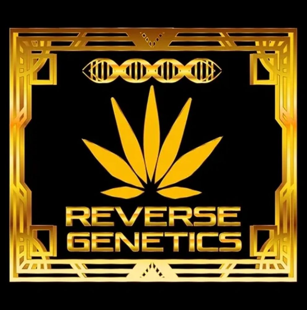 REVERSE GENETICS CANNABIS SEEDS
