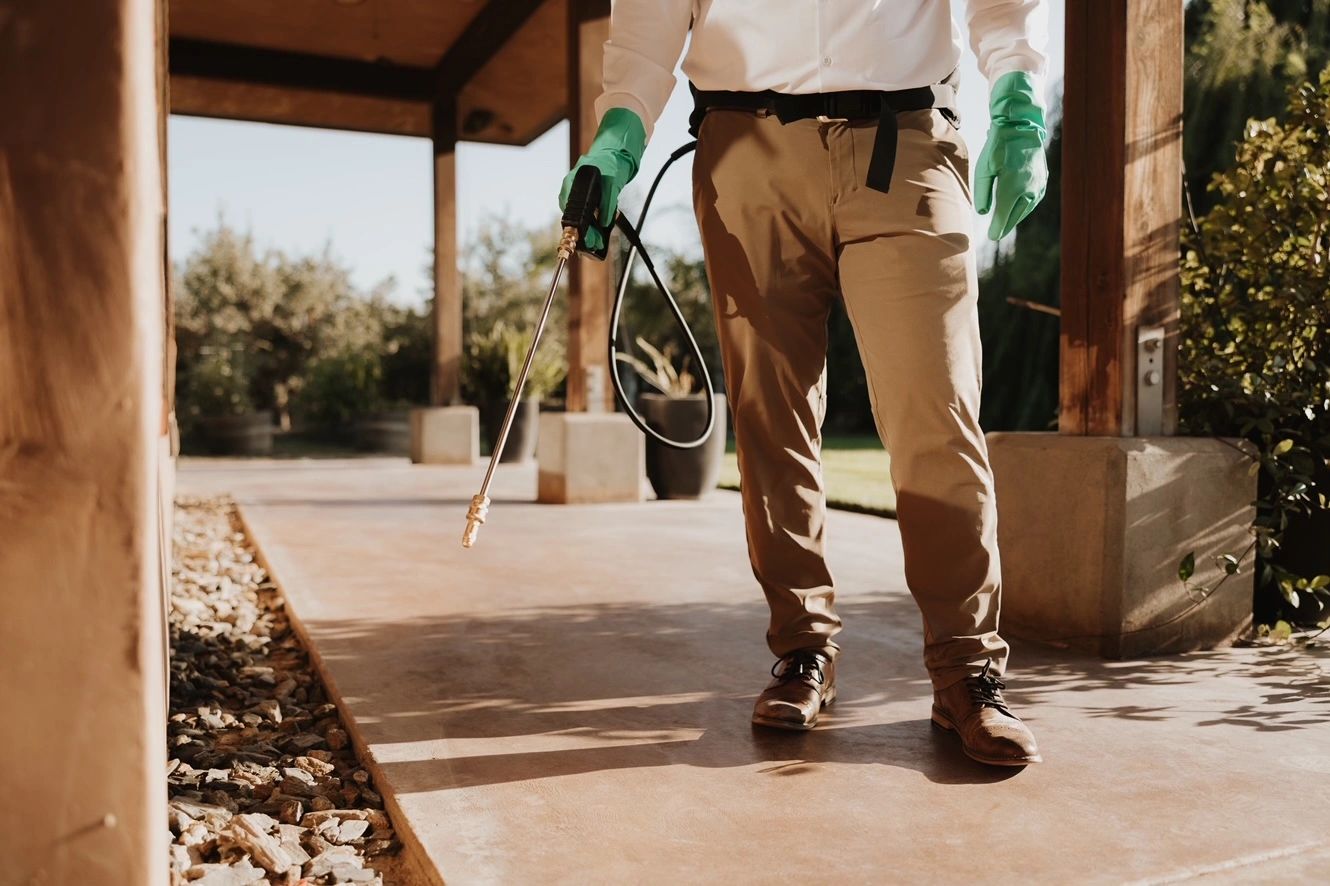 Best Pest Control in Modesto, CA | Alvis Pest Control